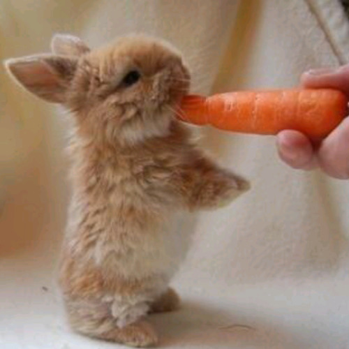 Stream mark marcus music | Listen to songs, albums, playlists for free ...