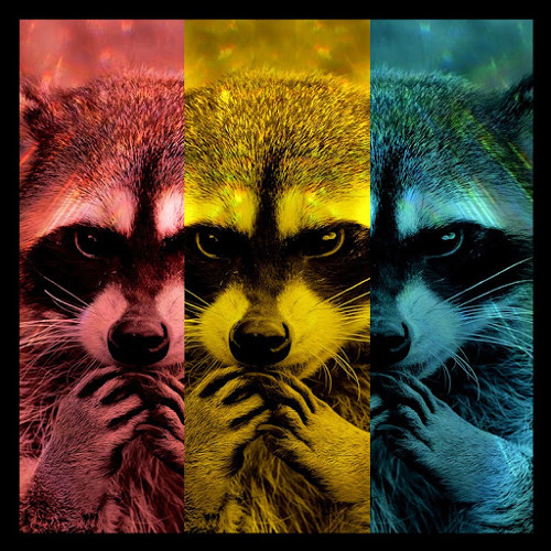 Stream Alex Kot music | Listen to songs, albums, playlists for free on ...