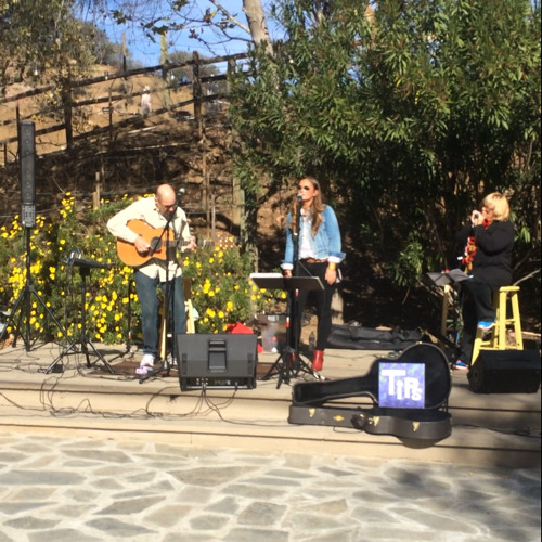 Stream David Sheils Band music | Listen to songs, albums, playlists for ...