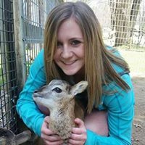 Stream Rachel Rademacher music | Listen to songs, albums, playlists for ...