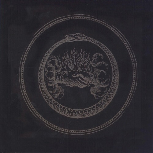 Stream Vizzle Exizzle music | Listen to songs, albums, playlists for ...