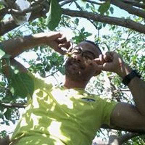 Stream Ibrahim Mahmoud music | Listen to songs, albums, playlists for ...