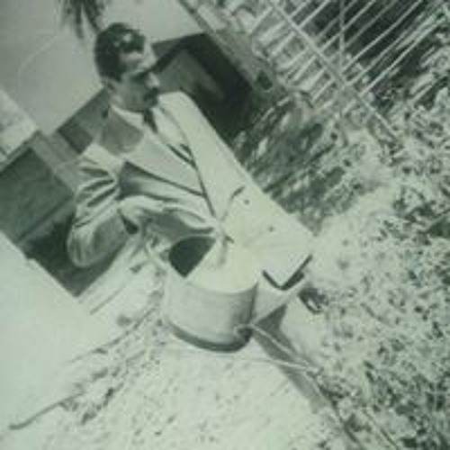 Stream Samar Hussien music | Listen to songs, albums, playlists for ...