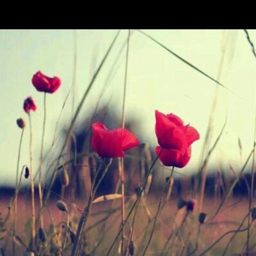 Stream Fatima_Awada music | Listen to songs, albums, playlists for free ...