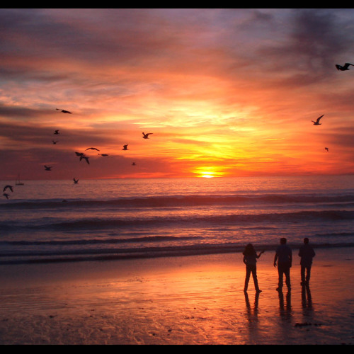 Stream Icy Sun music | Listen to songs, albums, playlists for free on ...