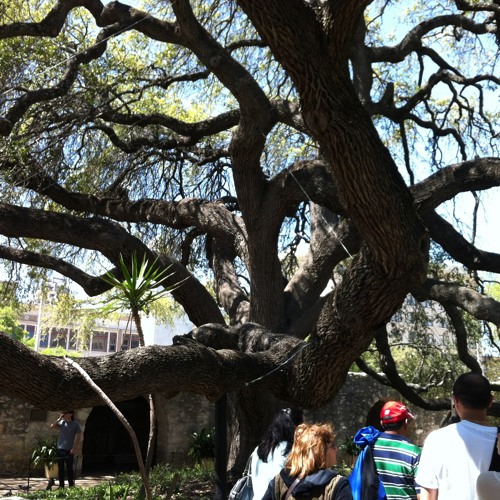 Stream Kade Leuthauser music | Listen to songs, albums, playlists for ...