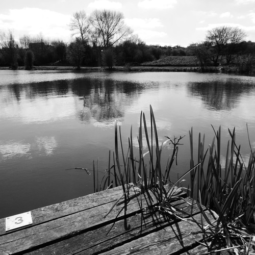 Stream Helena Knight music | Listen to songs, albums, playlists for ...