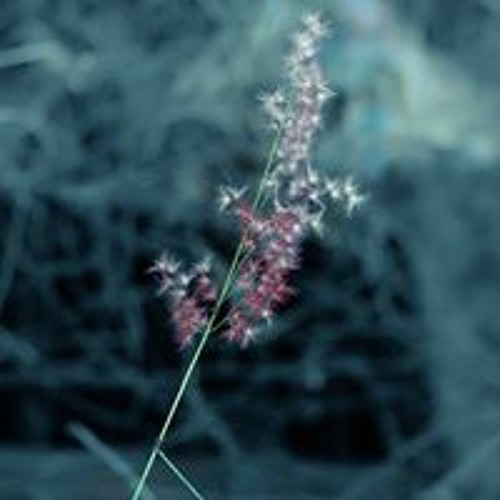 Stream Kay Tse music | Listen to songs, albums, playlists for free on ...