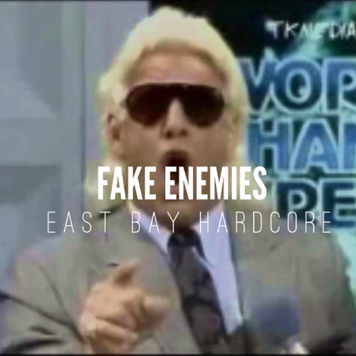 Stream Fake Enemies music | Listen to songs, albums, playlists for free ...