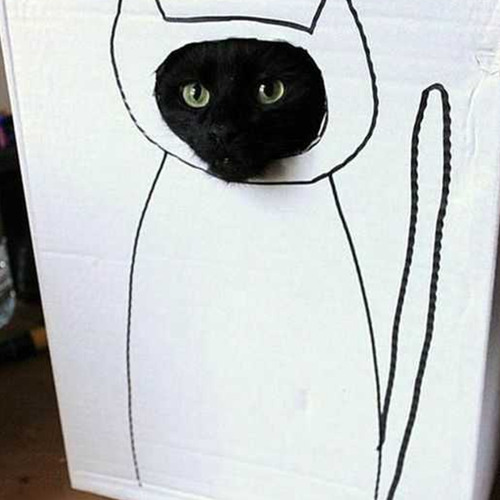 Stream Roel Aretz music | Listen to songs, albums, playlists for free ...