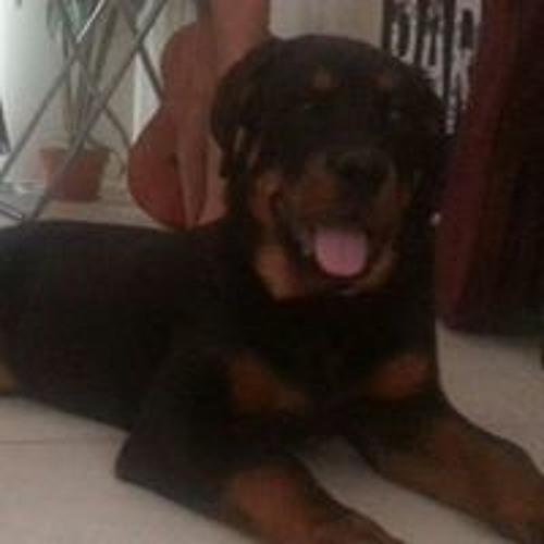 Stream Chris Tapine music | Listen to songs, albums, playlists for free ...