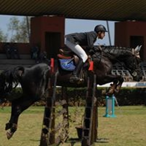 Stream Bilal Chahti music | Listen to songs, albums, playlists for free ...