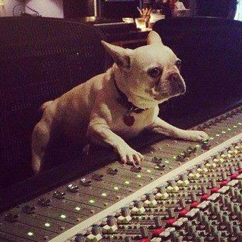 Stream Mastering Pop - Before / After Sample by Sonority Lab | Listen ... Stream Mastering Pop - Before / After Sample by Sonority Lab | Listen ...