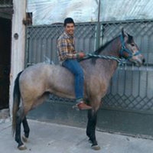 Stream Jesus Diaz Olvera music | Listen to songs, albums, playlists for ... Stream Jesus Diaz Olvera music | Listen to songs, albums, playlists for ...