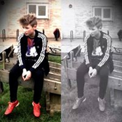 Stream Harry Rogan music | Listen to songs, albums, playlists for free ...