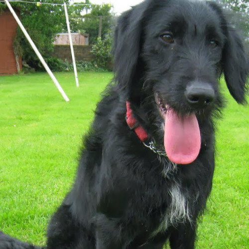 Stream Carl Dunning music | Listen to songs, albums, playlists for free ...