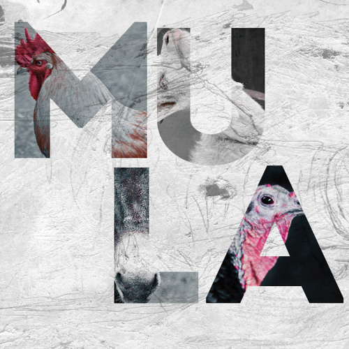 Stream MULA music | Listen to songs, albums, playlists for free on ...