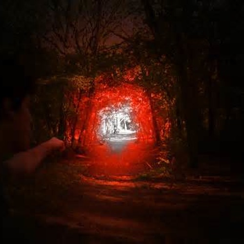 Stream DimensionalStudios music | Listen to songs, albums, playlists ...