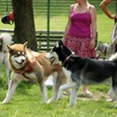 Stream Paddy Mccafferty music | Listen to songs, albums, playlists for ...