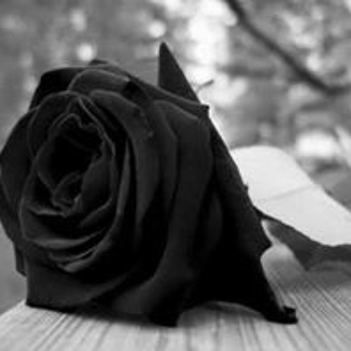 Stream Ericka Torres music | Listen to songs, albums, playlists for ...