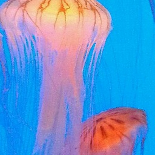 Stream Angela Mackie-Smith music | Listen to songs, albums, playlists ...