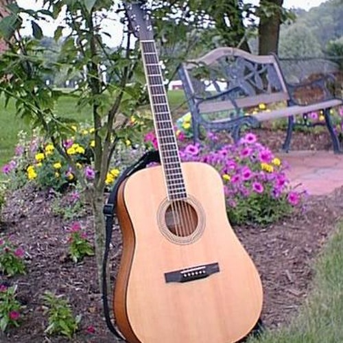 Stream Steve Fist music | Listen to songs, albums, playlists for free ...