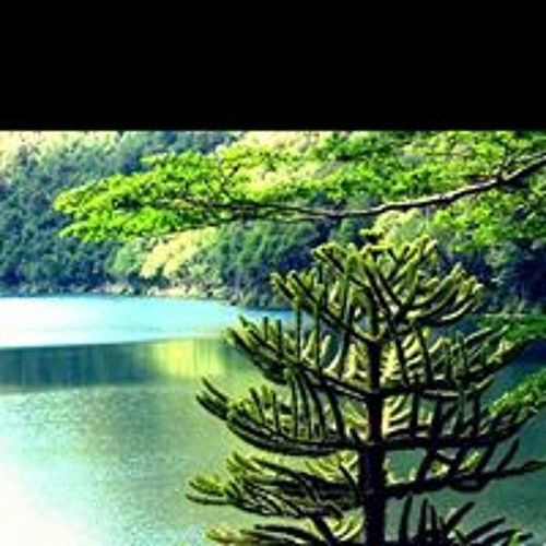 Stream Reiner Romero music | Listen to songs, albums, playlists for ...