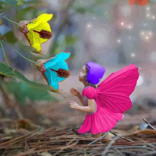 Stream lincy abraham music | Listen to songs, albums, playlists for ...