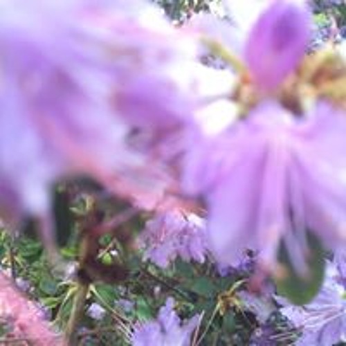 Stream Gemma Burton music | Listen to songs, albums, playlists for free ...