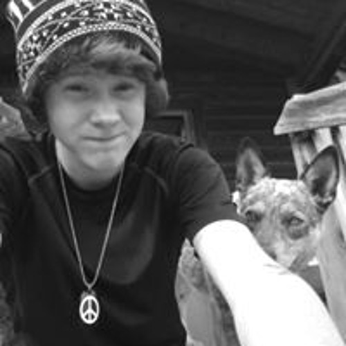 Stream Trace Hogan music | Listen to songs, albums, playlists for free ...