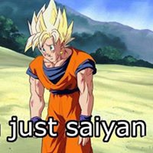 Stream Werner J. Slabbert music | Listen to songs, albums, playlists ...