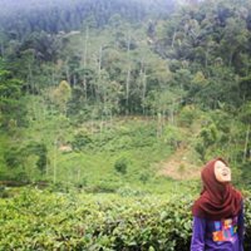 Stream Febiola Nindya Vitara music | Listen to songs, albums, playlists ...