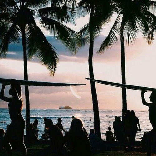 Stream Laura van Rijn music | Listen to songs, albums, playlists for ...