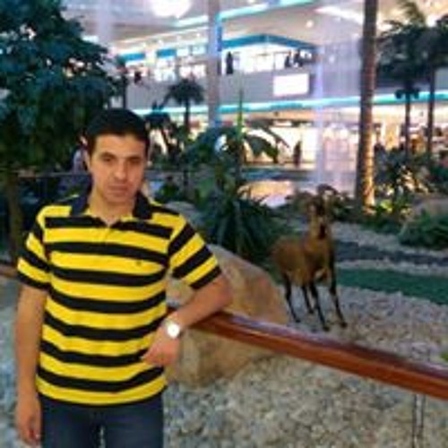 Stream Ramez El Fawal music | Listen to songs, albums, playlists for ...
