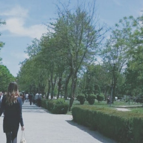 Stream Meryem Bozkurt music | Listen to songs, albums, playlists for ...