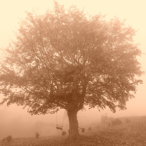 Stream Old Wives Tail music | Listen to songs, albums, playlists for ...