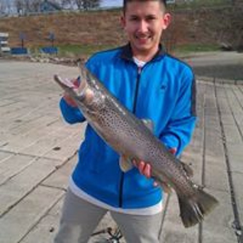 Stream Rory Davis music | Listen to songs, albums, playlists for free ...