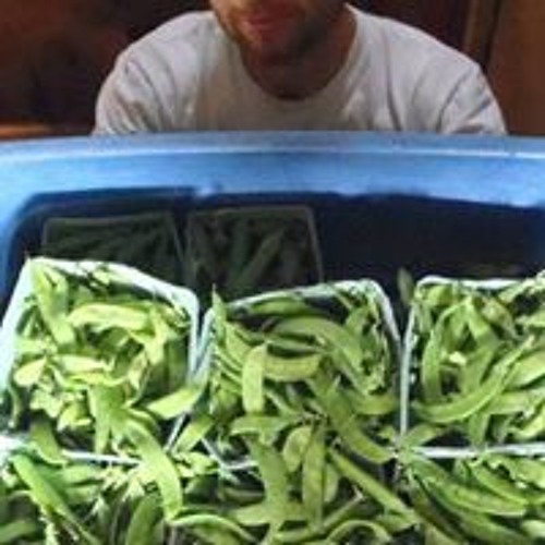 Stream Daniel Vandervoort music | Listen to songs, albums, playlists ...