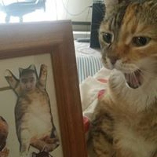 Stream Aaron Jeremy Chew music | Listen to songs, albums, playlists for ...