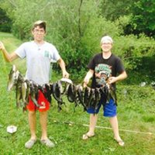 Stream Marshall Freeman music | Listen to songs, albums, playlists for ...