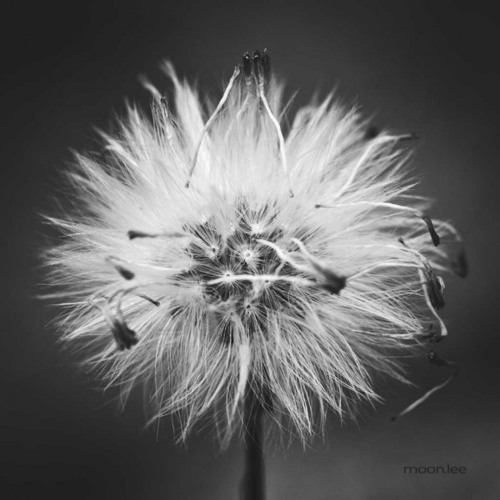 Stream Emily Crank music | Listen to songs, albums, playlists for free ...