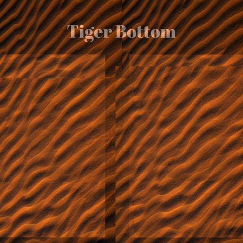 Stream Tiger Bottom music | Listen to songs, albums, playlists for free ...