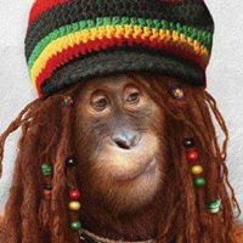 Stream Rodney Mays music | Listen to songs, albums, playlists for free ...