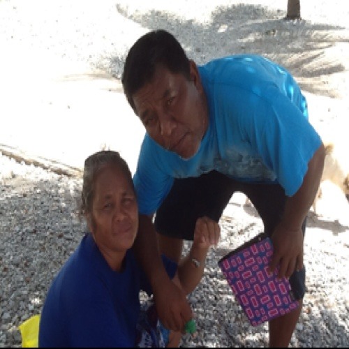 Stream primrose george music | Listen to songs, albums, playlists for ...