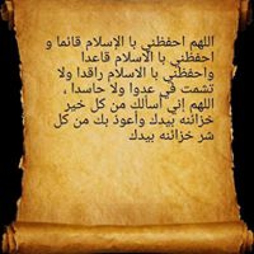 Stream Tamer Shaalan music | Listen to songs, albums, playlists for ...