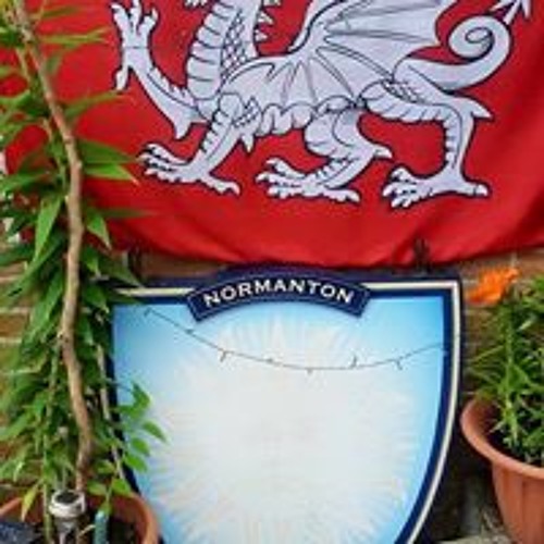 Stream Steve Rodgers music | Listen to songs, albums, playlists for ...