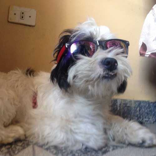 Stream Carlos Leandro music | Listen to songs, albums, playlists for ...