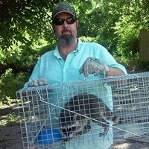 Stream Mike Standridge music | Listen to songs, albums, playlists for ...