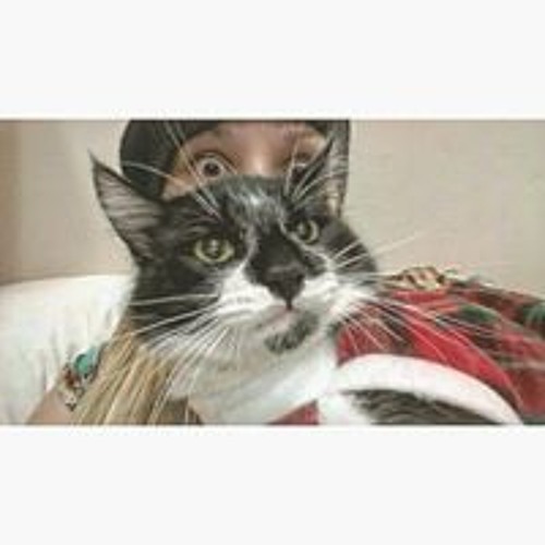 Stream Anna Claudia Zalewski music | Listen to songs, albums, playlists ...