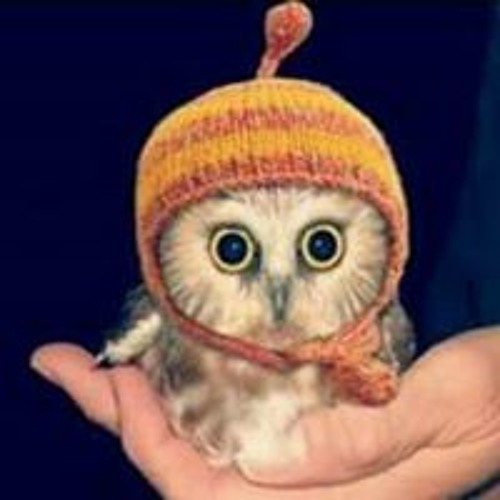 Stream Martina Samir music | Listen to songs, albums, playlists for ...